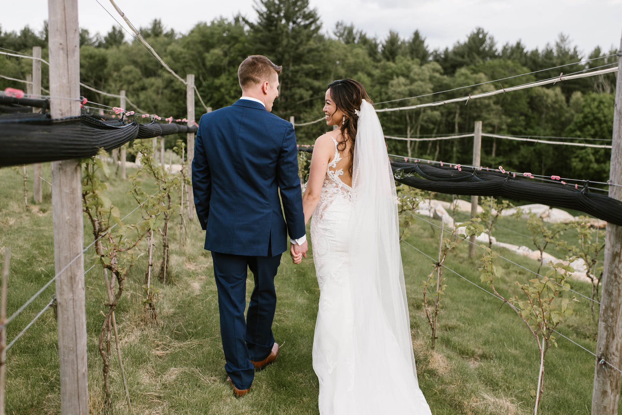 Vineyard Overlook | LaBelle Winery Amherst
