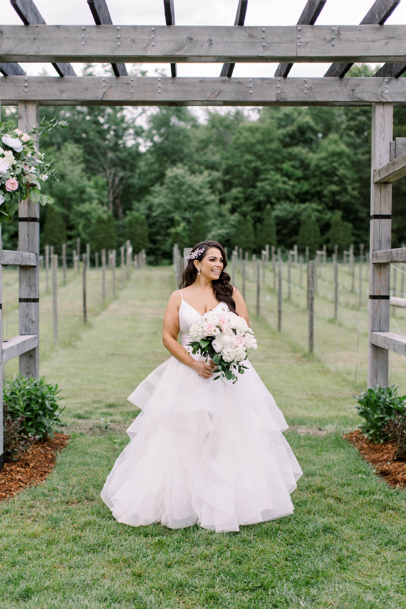 Vineyard Surround | LaBelle Winery Derry