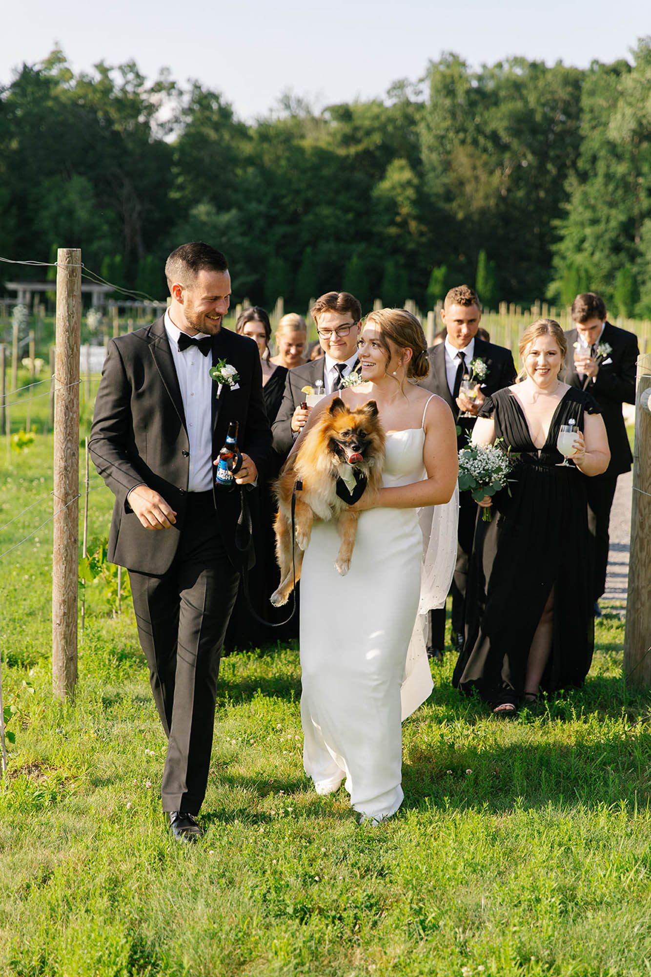 Vineyard Surround | LaBelle Winery Derry