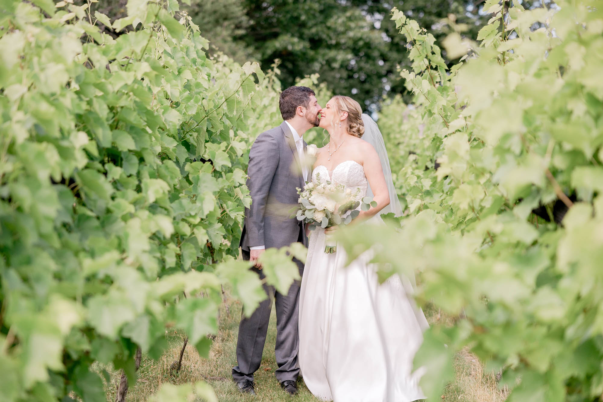 Vineyard Overlook | LaBelle Winery Amherst