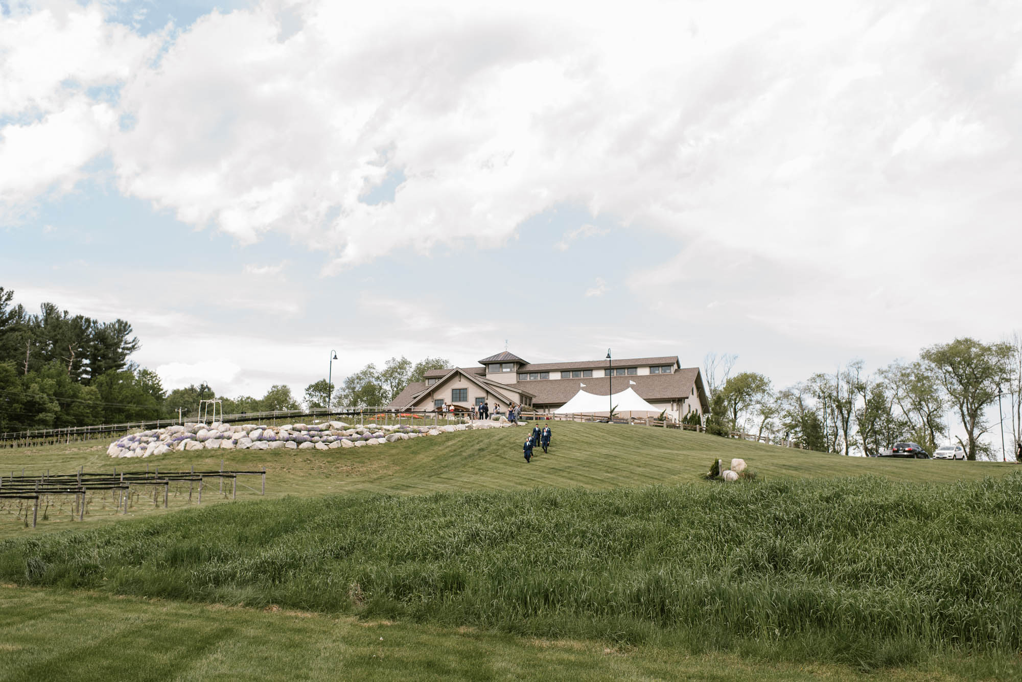 Vineyard Overlook | LaBelle Winery Amherst