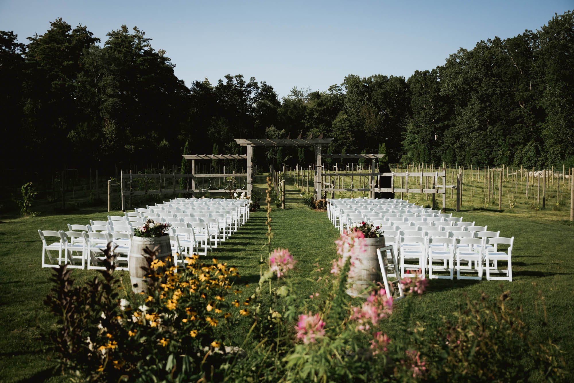 Vineyard Surround | LaBelle Winery Derry