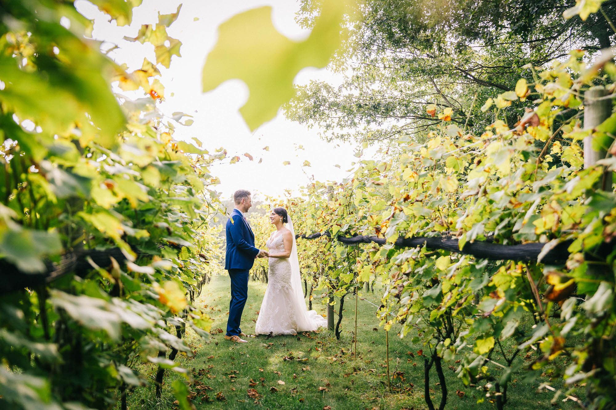 Vineyard Overlook | LaBelle Winery Amherst
