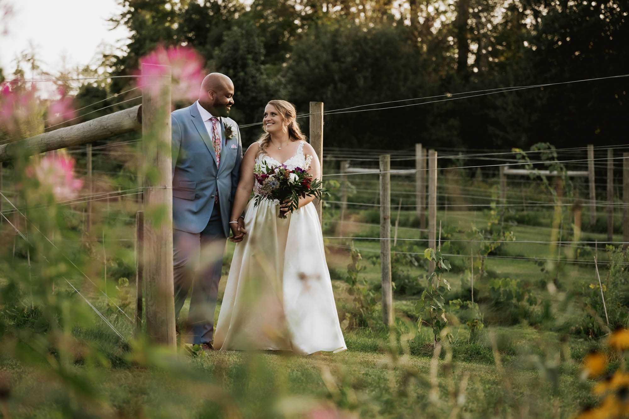 Vineyard Surround | LaBelle Winery Derry