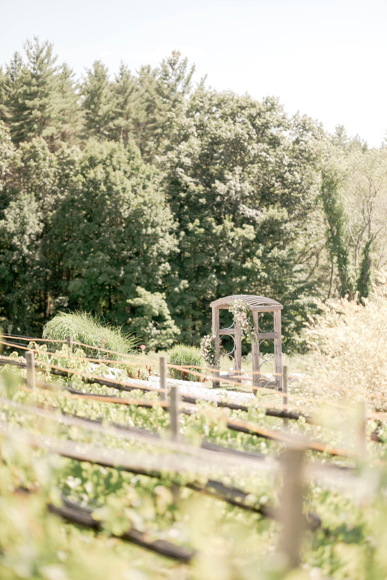 Vineyard Overlook | LaBelle Winery Amherst