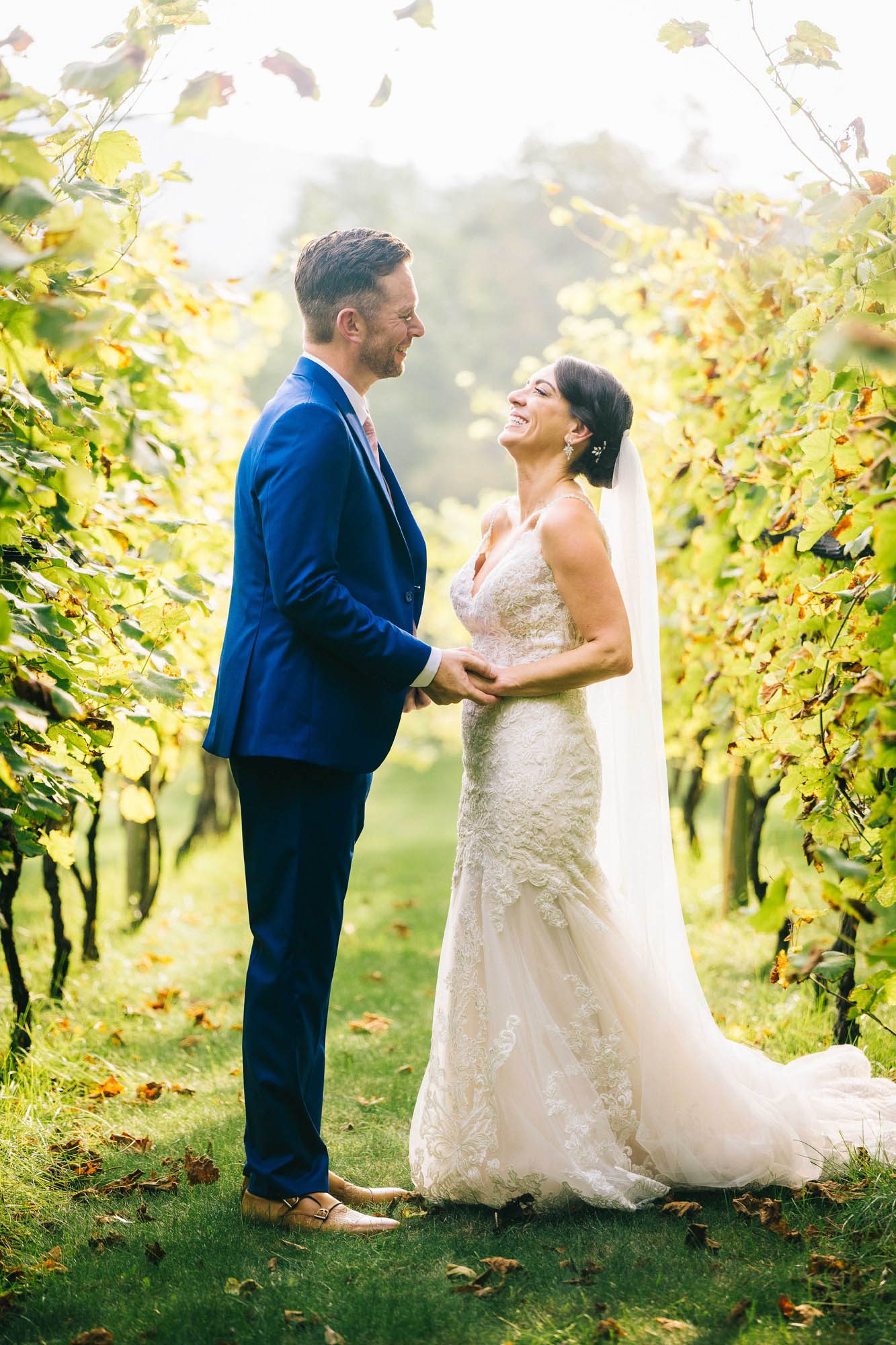 Vineyard Overlook | LaBelle Winery Amherst