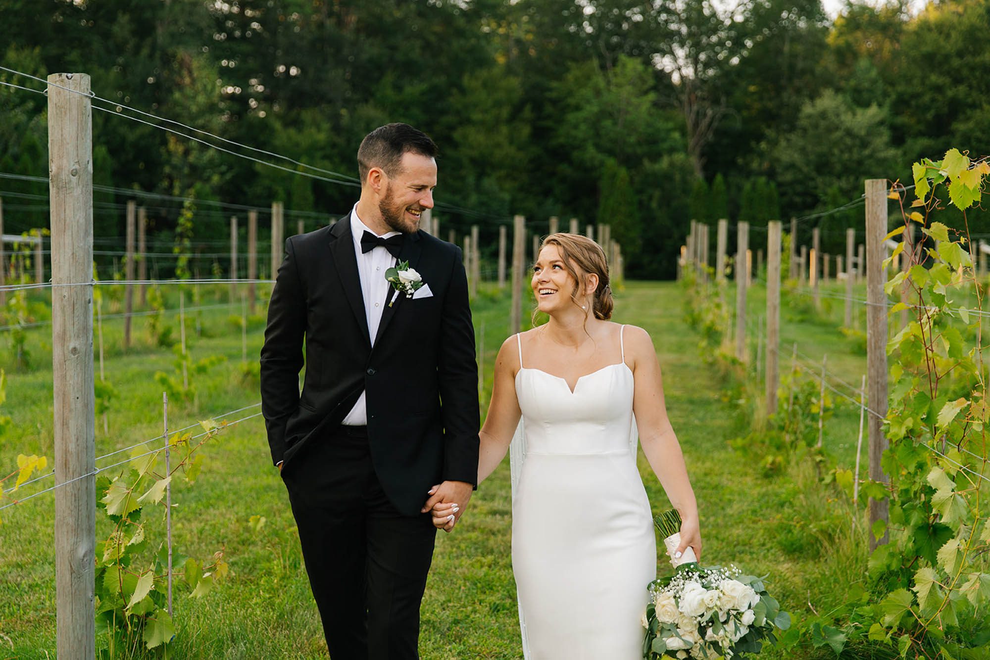 Vineyard Surround | LaBelle Winery Derry