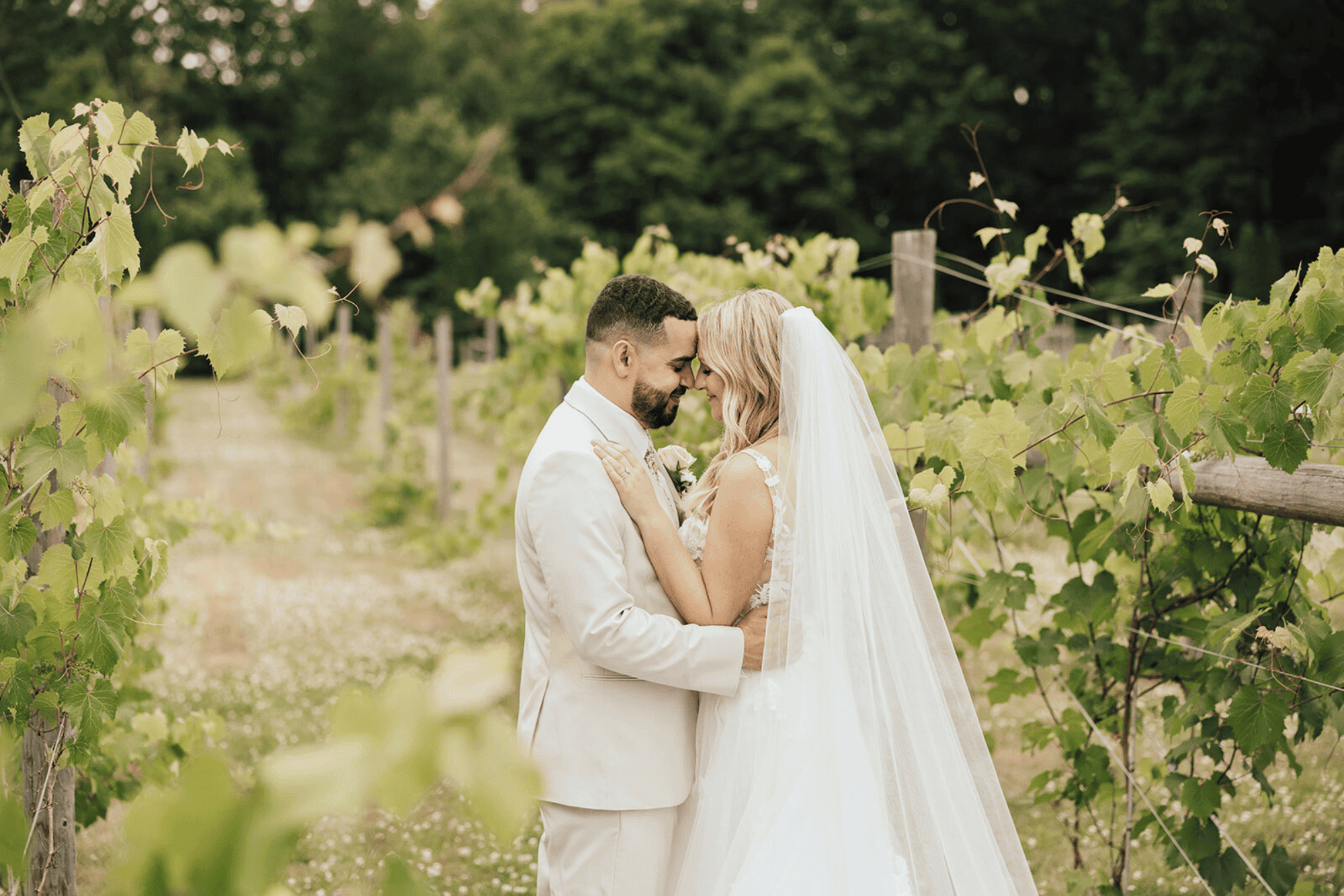 Best Wedding Venue in Derry, New Hampshire | LaBelle Winery