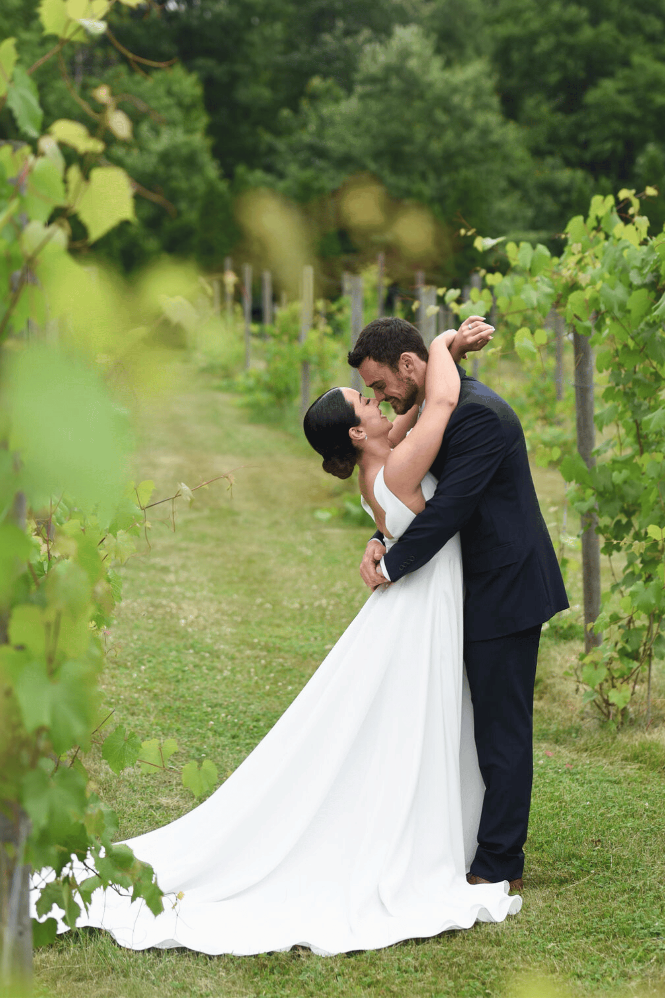 Vineyard Surround | LaBelle Winery Derry